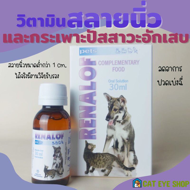 Renalof รีนาลอฟ 30 ml. วิตามินแมวและสุนัขสำหรับโรคนิ่ว กระเพาะปัสสาวะ ...