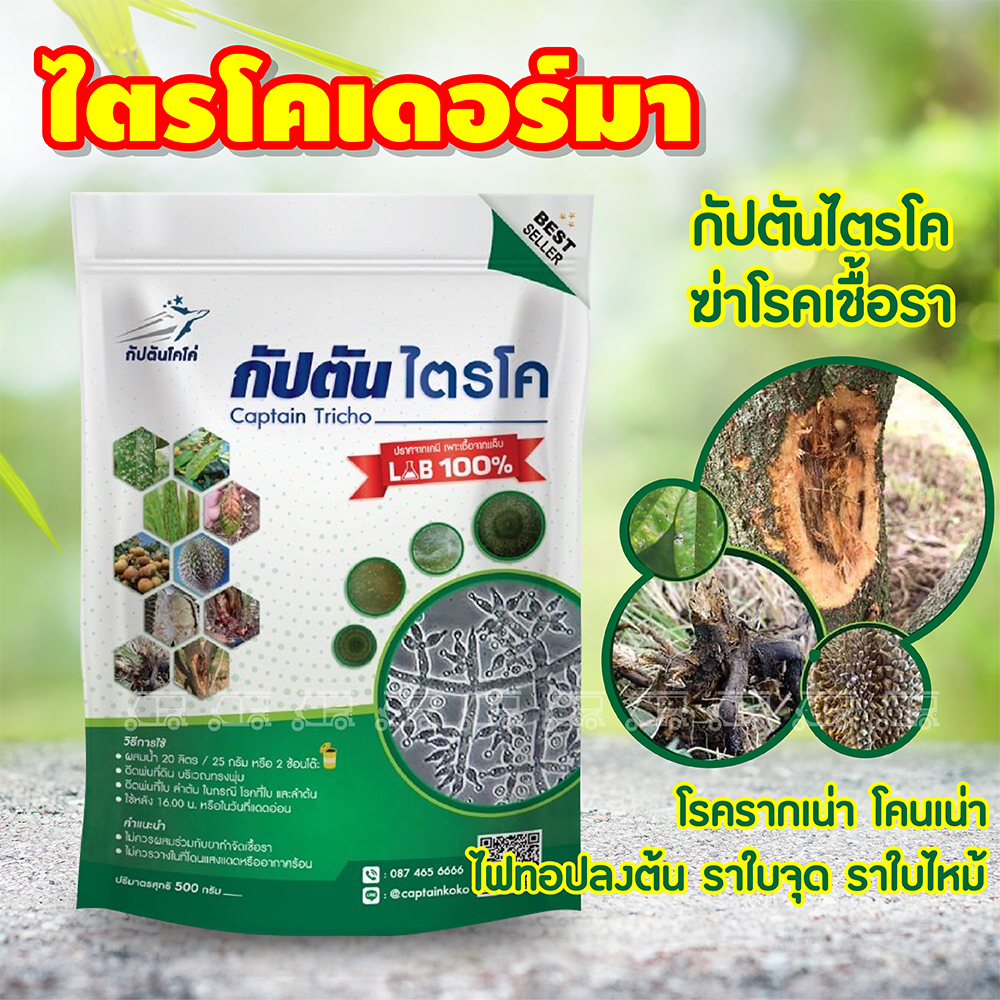 Trichoderma ไตรโคเดอร์มา กัปตันไตรโค ฆ่าโรคเชื้อรา กำจัดรา ฆ่าเชื้อรา ...