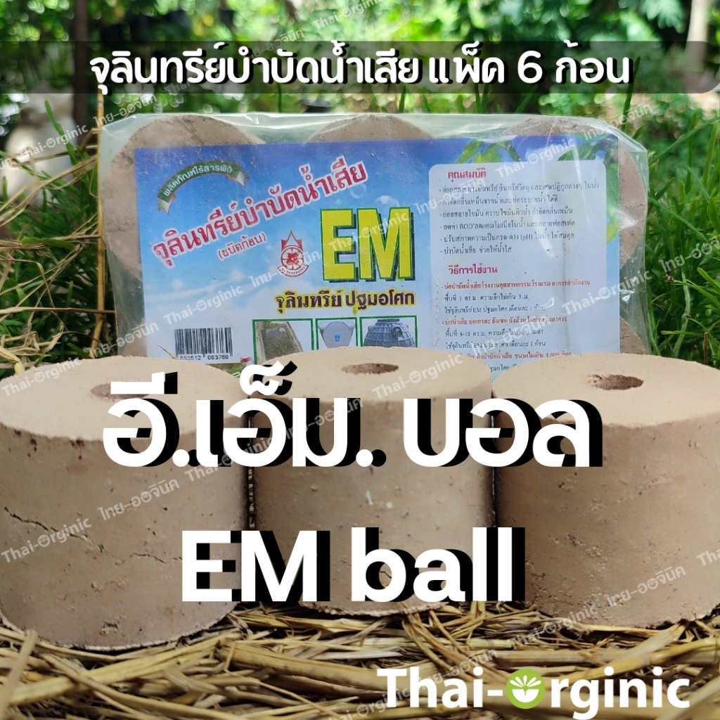 EM ball บำบัดนำเสีย อีเอ็มบอล ปฐมอโศก [แพ็ค6ก้อน] emball จุลินทีย์กำจัด ...