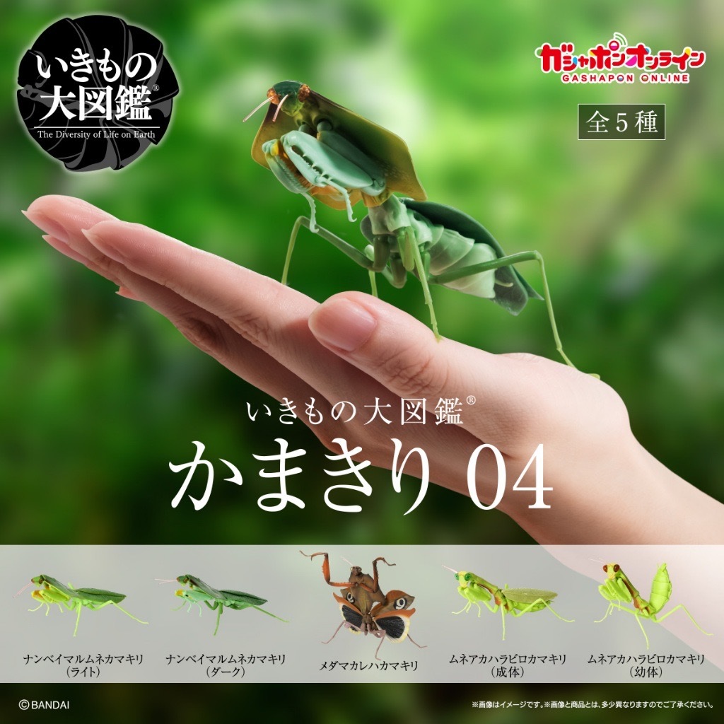 รุ่น4 Ikimono encyclopedia mantis 04 bandai mini figures Gashapon🇯🇵 ...