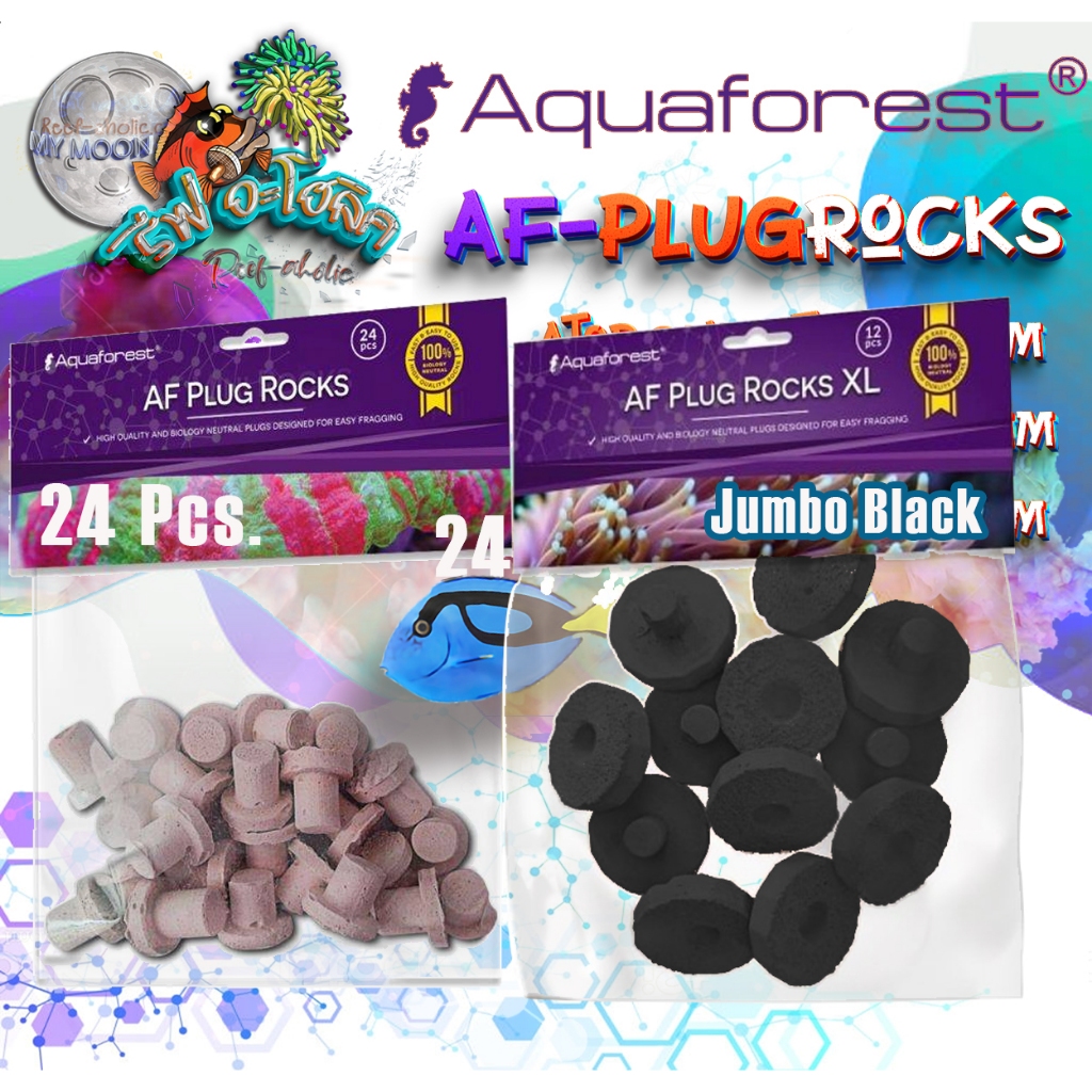 Reef-aholic Aquaforest AF Plug Rocks ฐานแฟรกแบบเร้าใจมีใหญ่ XL และ เล็ก ...