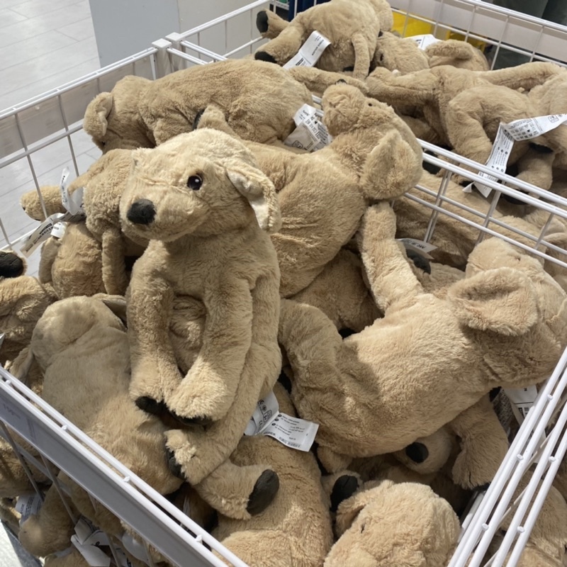IKEA GOSIG GOLDEN โกลเด้น ตุ๊กตา สุนัขโกลเด้น 40 ซม. ตุ๊กตาผ้า | Shopee ...