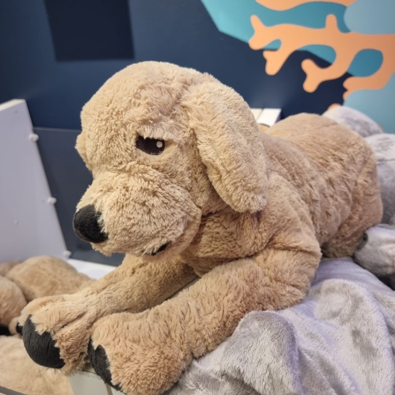 IKEA แท้ ตุ๊กตาน้องหมาโกลเด้น GOSIG GOLDEN ความยาว70 ซม. | Shopee Thailand
