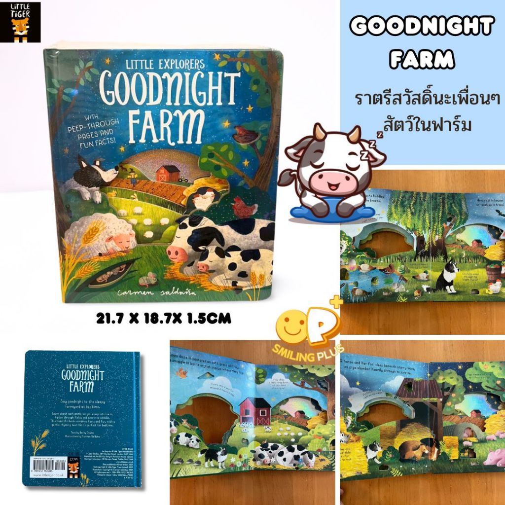 พร้อมส่ง Little tiger, Board book สำรวจโลก สำหรับหนูน้อย Little ...