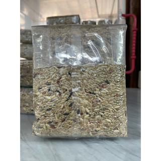 ข้าวกล้องลืมกับ ปลอดสาร บรรจุสูญญากาศ 1 KG Organic Luem Kap brown rice ...