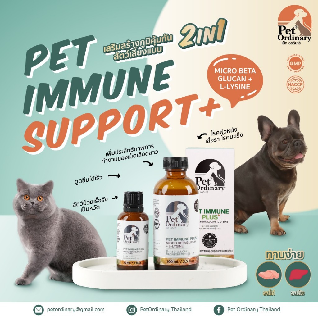 Pet Ordinary ผลิตภัณฑ์เสริมอาหารกระตุ้นภูมิคุ้มกันสำหรับสัตว์เลี้ยง ...