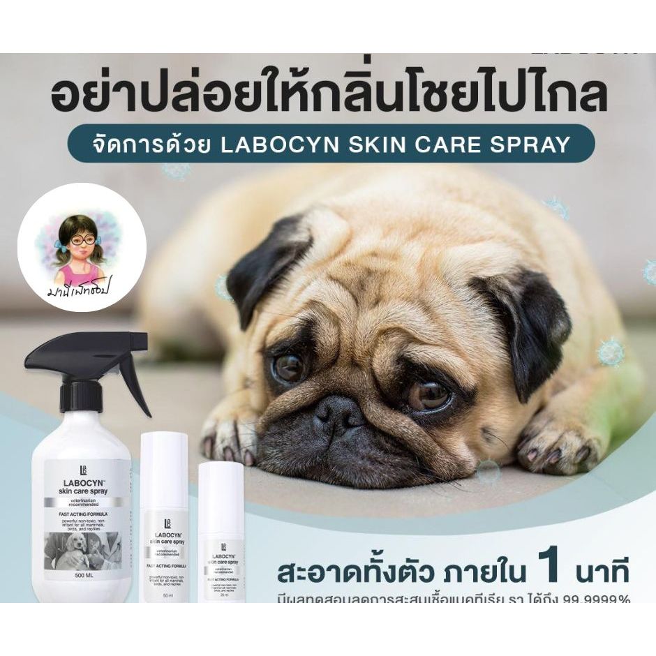 Labocyn Spray Skin Care **ฆ่าเชื้อ99.99% สเปรย์พ่นดูแลผิวหนัง เชื้อรา ...
