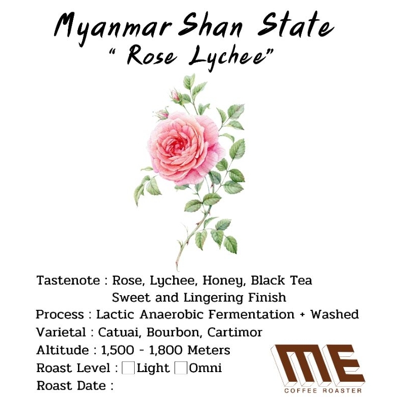 เมล็ดกาแฟ Myanmar Shan State "Rose Lychee" หอมกุหลาบมาก 🌹 | Shopee Thailand