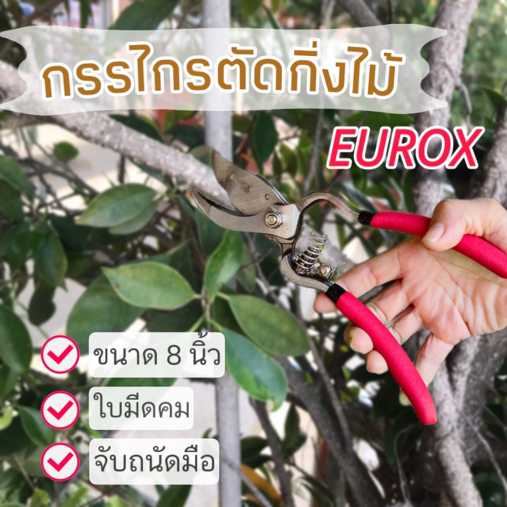 กรรไกรตัดกิ่งไม้ EUROX ขนาด 8 นิ้ว จำนวน 1 อัน | Shopee Thailand
