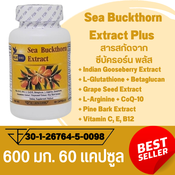 Sea Buckthorn Extract Plus สารสกัดจากซีบัคธอร์น พลัส ตรา บลูเบิร์ด 600 มก. 60 แคปซูล | Shopee ...