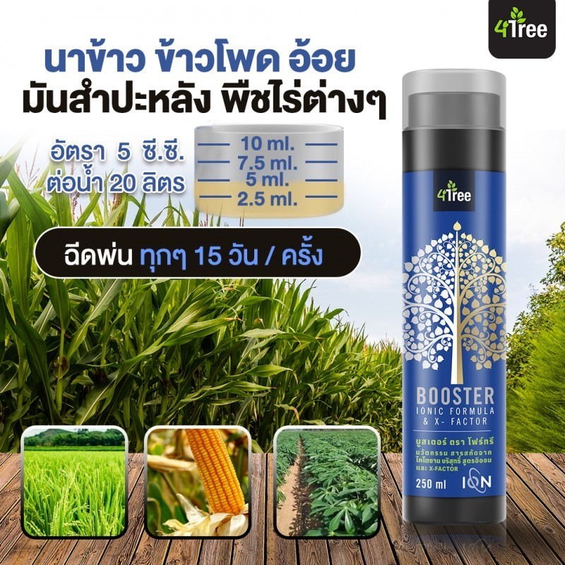 ส่งฟรี!4Tree Boosterบูสเตอร์ ไคโตซานบริสุทธิ์จากธรรมชาติ ความเข้มข้นสูง ดูดซึมไวไม่เกิน 1 นาที ...
