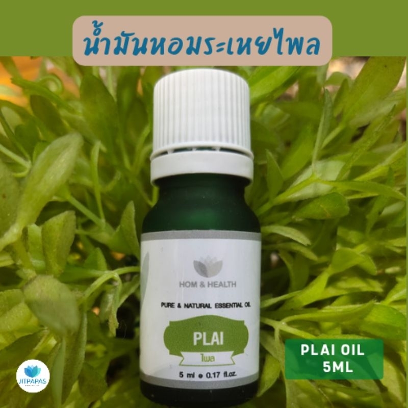 Essential oil น้ำมันหอมระเหยไพล (Plai Oil) ขนาด 5ml | Shopee Thailand