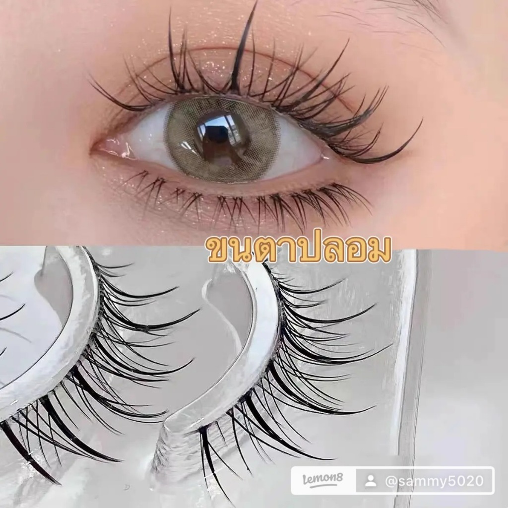 Thai false eyelashes แบบไทยขนตาปลอม | Shopee Thailand