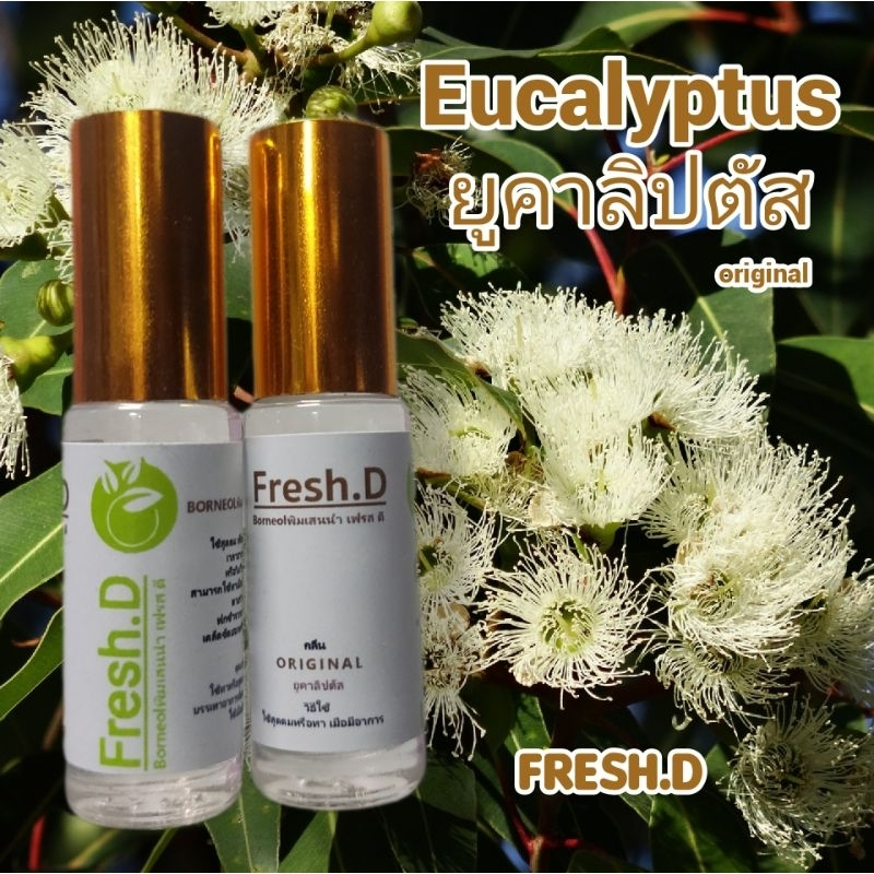 [1 แถม 1] Fresh.D พิมเสนน้ำ แบบลูกกลิ้ง พกพาง้าย สูตรใหม่ ของแท้ 100% ...