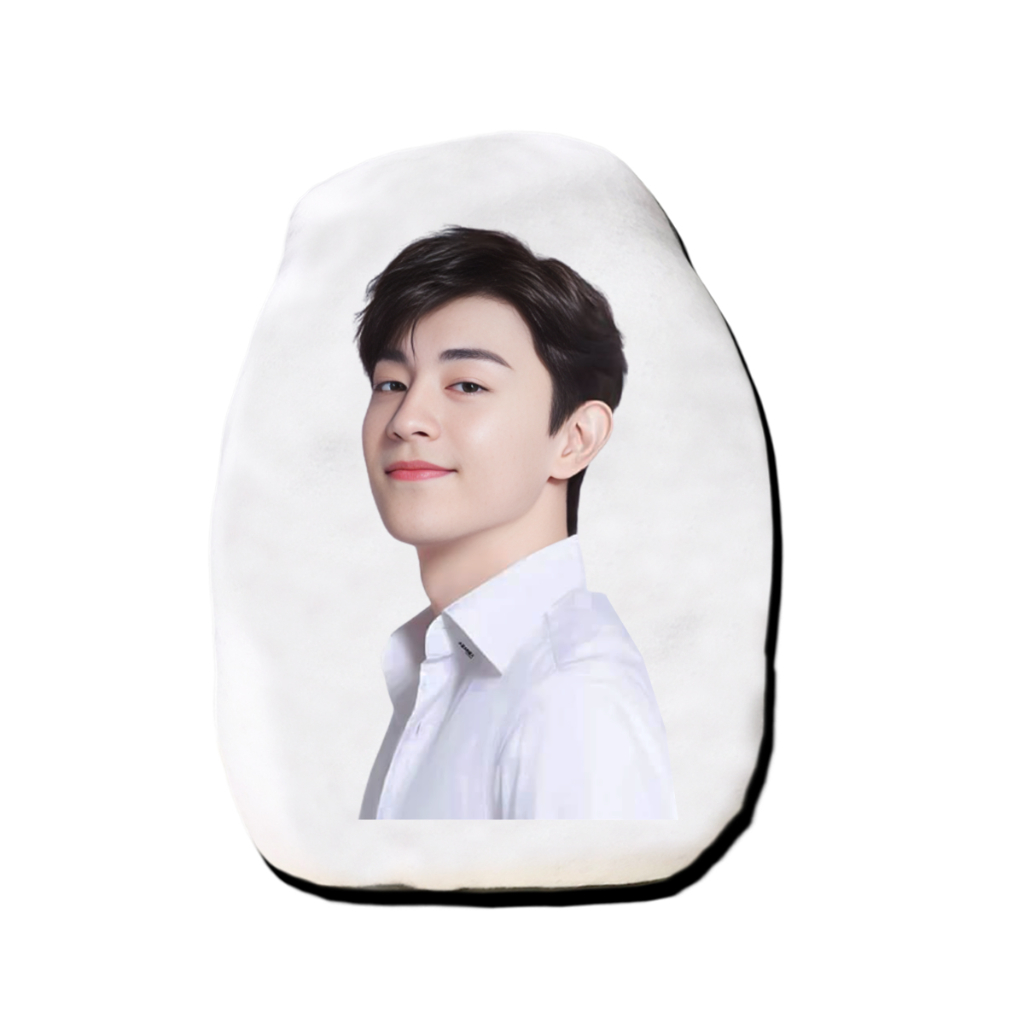 รับผลิต ตุ๊กตาไดคัท สกรีน หมอนไดคัท สั่งทำ ไอดอล สินค้าแฟนเมด ดาราจีน เ ...