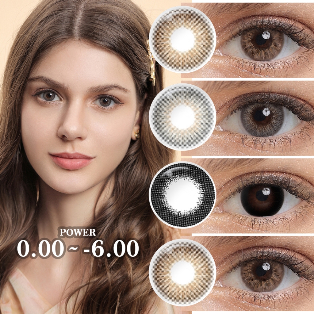ส่งไวจากไทย Magister คอนแทคเลนส์ 6 เดือน Mini Brown/ Gray คอนแทคเลนส์ ...