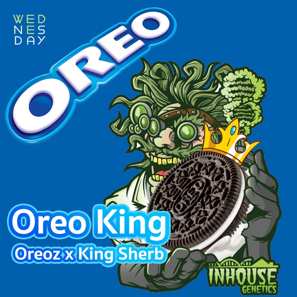 Clone Oreo King (Gold Pack) - In House Genetics | Shopee Thailand