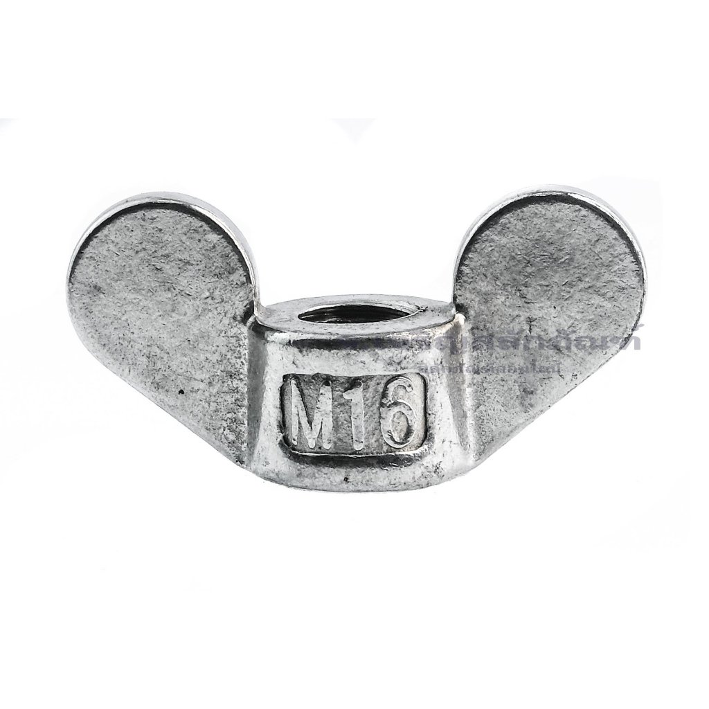 อายนัทสแตนเลสทรงปีกผีเสื้อ M6-M16 Wing Nut Stainless Steel (แพ็คละ 1 ...
