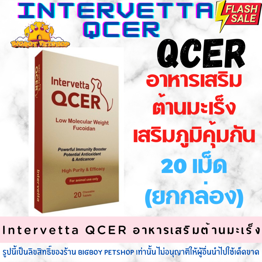 QCER อาหารเสริมต้านมะเร็ง เสริมภูมิคุ้มกัน แบ่งขาย1แผง 10เม็ด/ขายยกกล่อง(บรรจุ20เม็ด) | Shopee ...