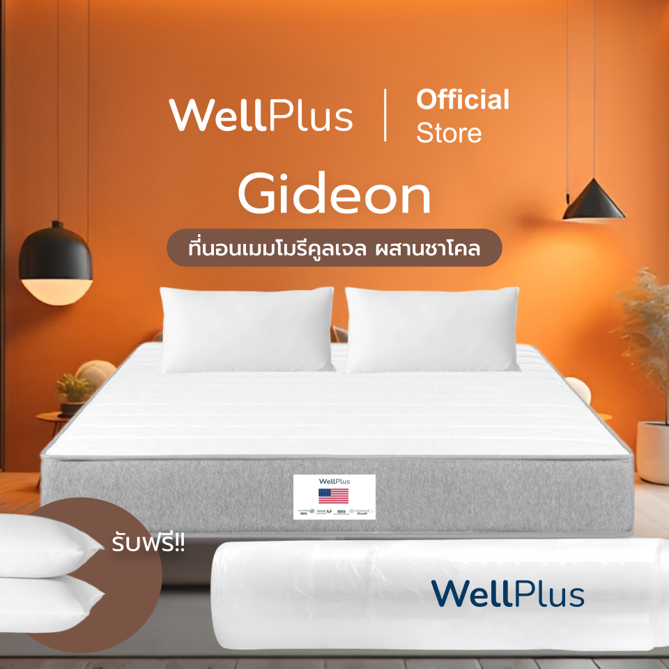 [รับประกันโครงสร้าง 10 ปี] Wellplus อัดสุญญากาศ ที่นอนเมมโมรี่คูลเจล ผสมชาโคล รุ่น Gideon หนา 6 ...