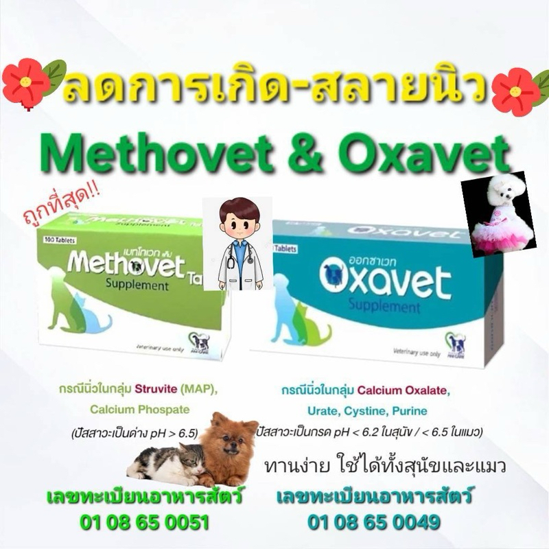 Oxavet และmethovetอาหารเสริมลดการเกิด-สลายนิ่วในสุนัขและแมว | Shopee ...