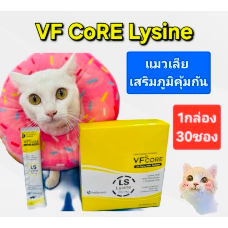 VFcore Lysine 1กล่อง บรรจุ 30 ซอง อาหารเสริมLysine ขนมแมวเลีย เสริมภูมิคุ้มกัน VF coreยกกล่อง ...