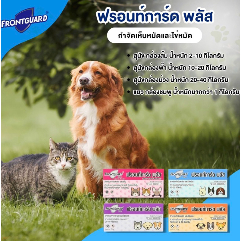 FRONTGUARD Plus ฟรอนท์การ์ดพลัส แบบหยดกำจัดหมัดและเห็บ สำหรับสุนัขและ ...