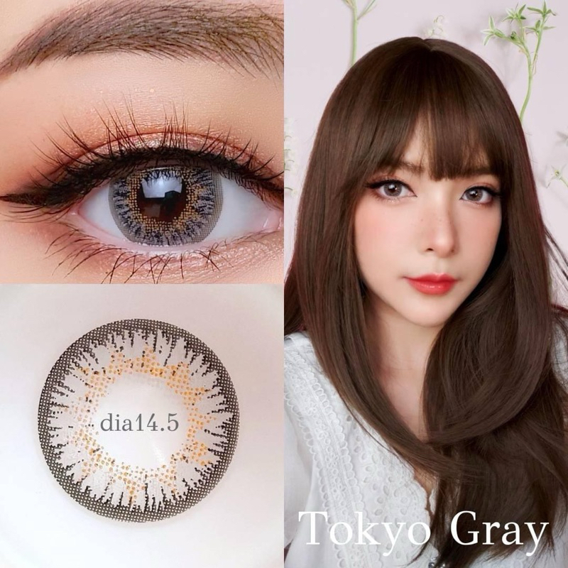 คอนแทคเลนส์ รุ่น Mini tokyo / Tokyo สี Grey ลาย 3 Tone ขนาดมินิ และ ...