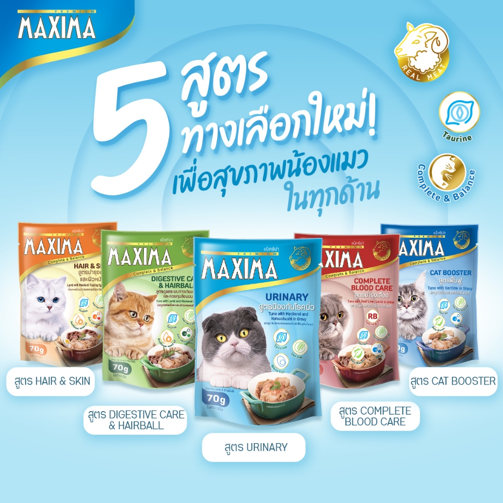 MAXIMA Cat Wet Food Premium Grade 70g อาหารเปียกแมว 70 กรัม | Shopee ...