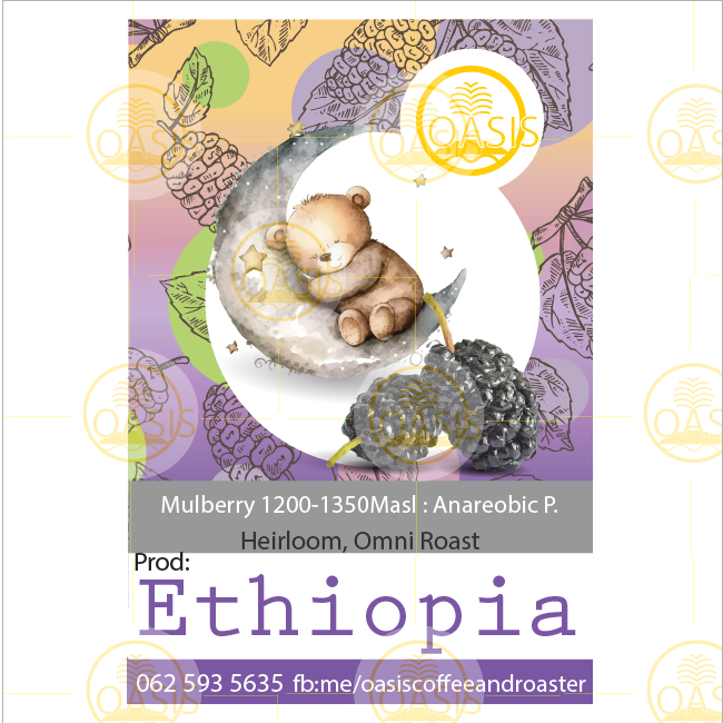 Oasis Coffee&Roaster Ethiopia West Arsi Mulberry Omni Roast | Shopee ...