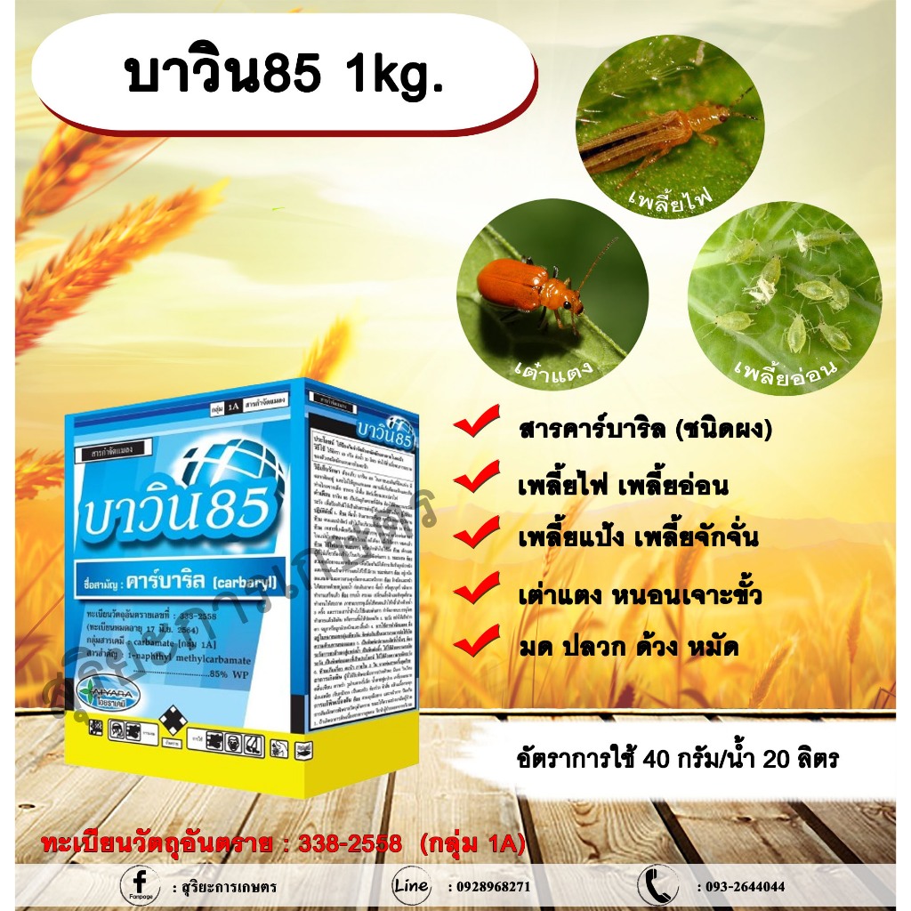 บาวิน85 1kg. คาร์บาริล สารกำจัดแมลง กำจัดเพลี้ย เพลี้ยไฟ เพลี้ยอ่อน เพลี้ยแป้ง เพลี้ยจักจั่น ...