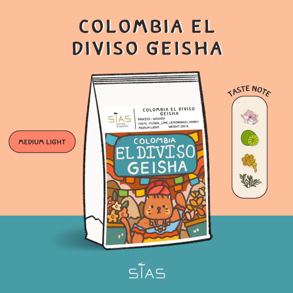 เมล็ดกาแฟคั่ว Colombia El Diviso Geisha By Sias koffee Roaster | Shopee ...