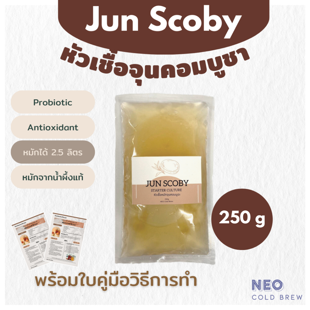 Jun Kombucha Scoby & Starter Liquid 250ml แผ่นสโคบีและน้ำตั้งต้นหมักจุ ...