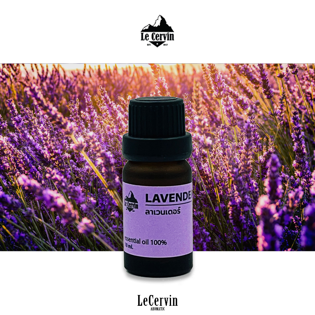 LeCervin น้ำมันหอมระเหย 100 % กลิ่นลาเวนเดอร์ (Pure Lavender Fragrance ...