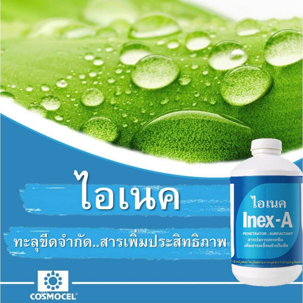 Inex-A ไอเนค สารเพิ่มประสิทธิภาพ สารเร่งการแทรกซึม เพิ่มการเคลื่อนย้าย ลดการเกิดฟอง (Cosmocel ...
