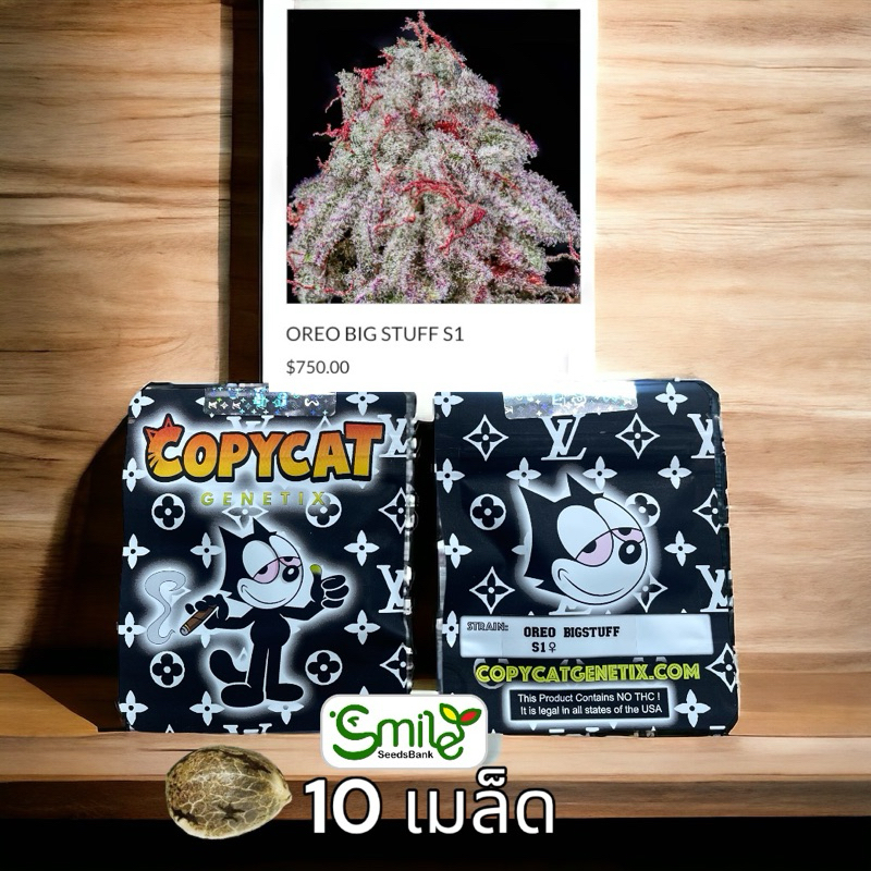 เมล็ดกัญชา Oreo Big Stuff S1 (Fem) - Copycat Genetix | Shopee Thailand