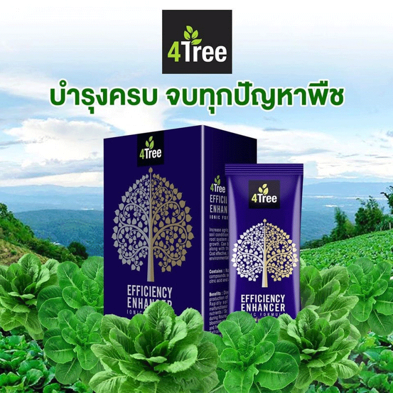 (กล่องX10ซอง) 4Tree โฟร์ทรี สารเสริมประสิทธิภาพ ของแท้ 100% | Shopee Thailand