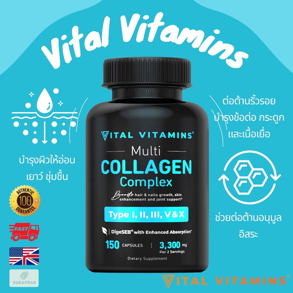 พร้อมส่ง Vital Vitamins Collagen Type I, II, III, V, X Multi Collagen ...