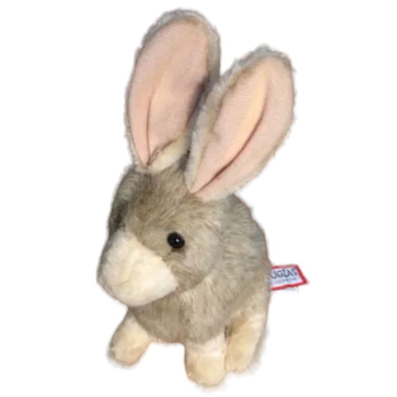 Douglas Sitting Bunny Rabbit Plush 7" | Shopee Thailand