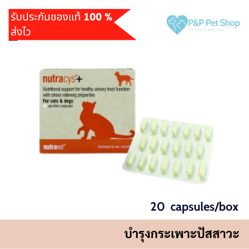 Nutracys+ 20 capsules/box อาหารเสริมบำรุงกระเพาะปัสสาวะ สำหรับสุนัขและ ...
