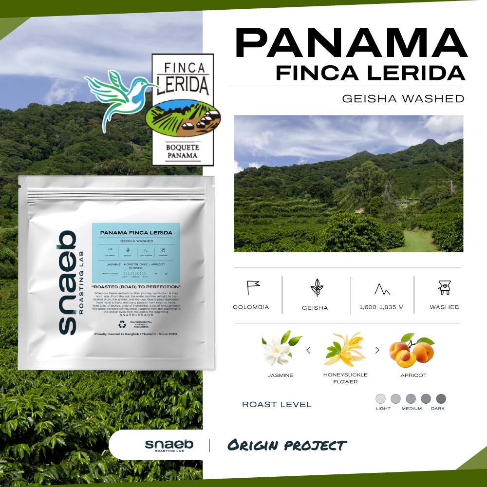 Panama Finca Lerida Geisha Washed | เมล็ดกาแฟคั่ว คั่วอ่อน Snaeb Coffee ...