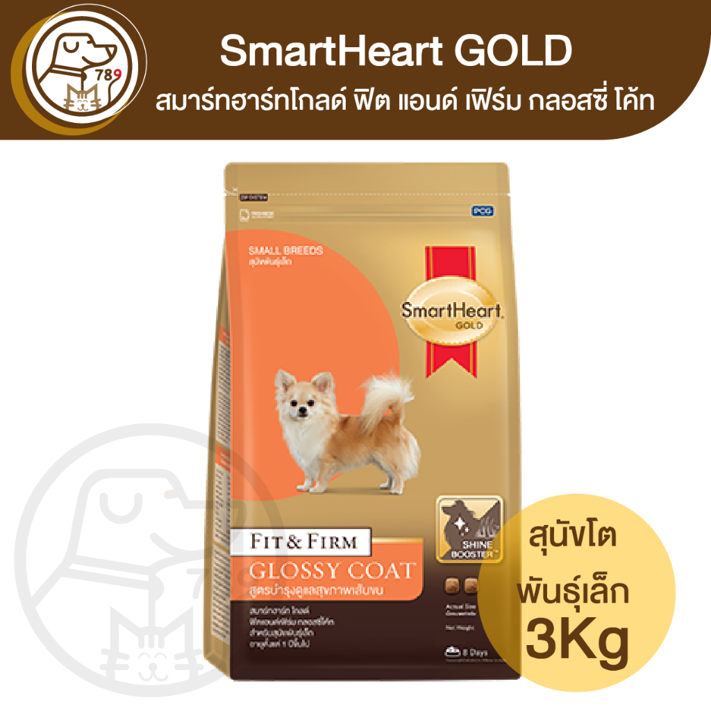 SmartHeart Gold Fit&Firm Glossy Coat ฟิต แอนด์ เฟิร์ม กลอสซี่ โค้ท สูตร ...