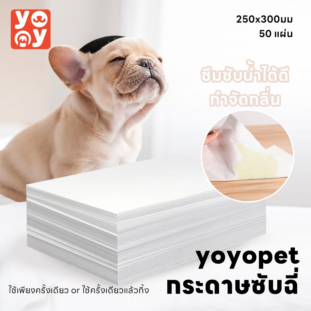 yoyo Pet: Pet Pee Paper กระดาษเช็ดฉี่สัตว์เลี้ยงคุณภาพดี กระดาษซับ ...