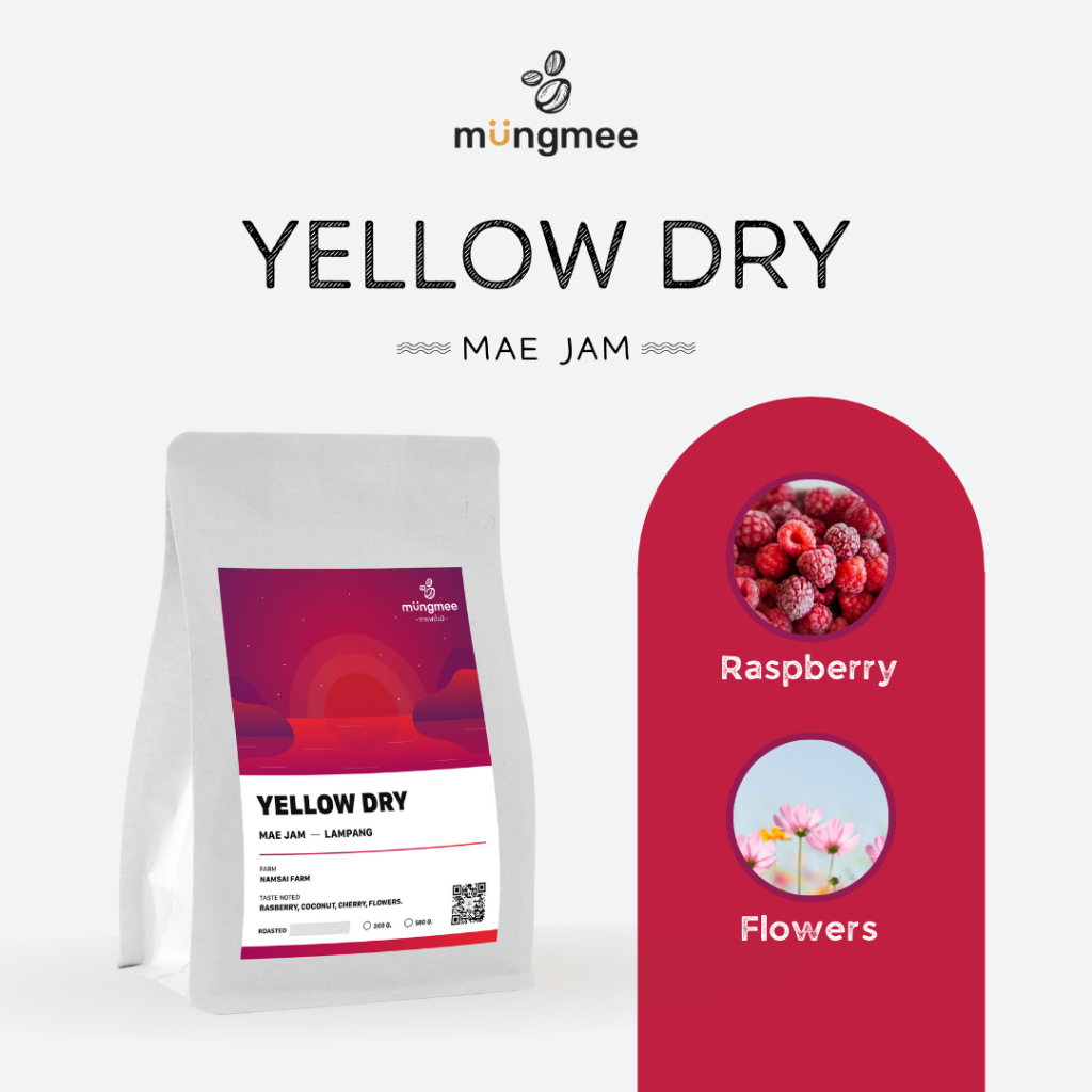 Mungmee Coffee เมล็ดกาแฟ คั่วอ่อน Maejam - Yellow Dry | Shopee Thailand
