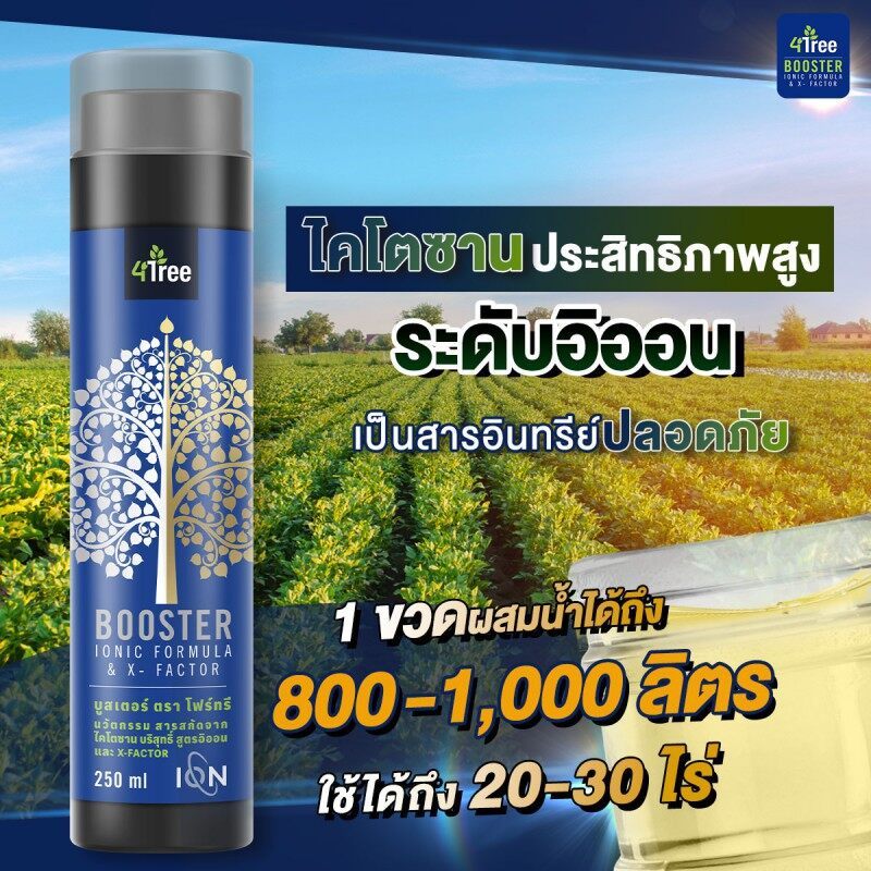 4Tree Booster โฟร์ทรีบูสเตอร์ ไคโตซานประสิทธิภาพสูง อาหารเสริมพืช พืชโตเร็ว ใหญ่ ยาว ดก ของ แท้ ...