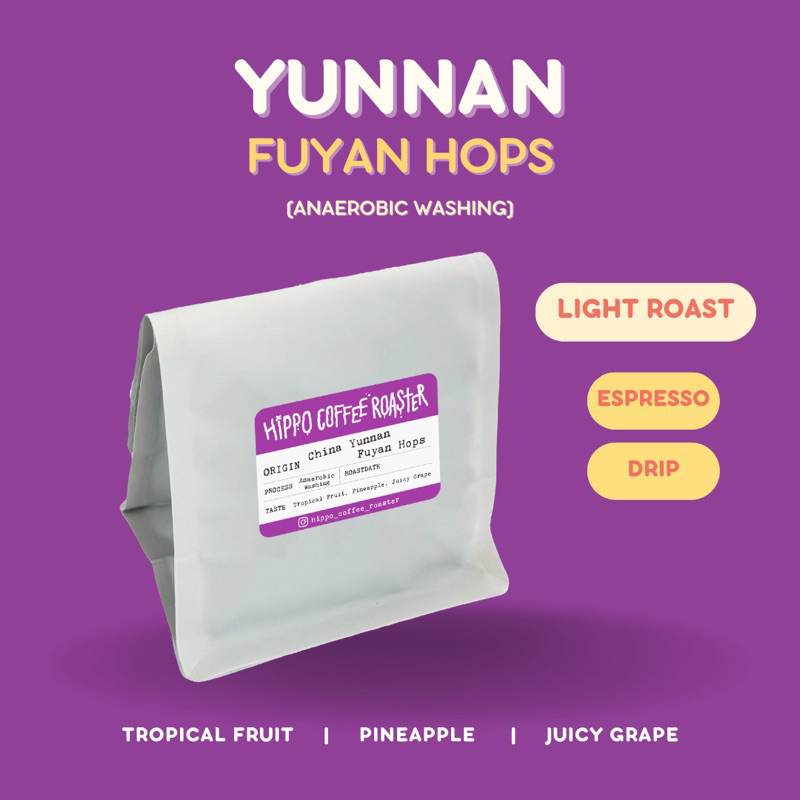 เมล็ดกาแฟคั่วอ่อน•China Yunnan Fuyan Hops•Anaerobic washed•Hippo Coffee ...