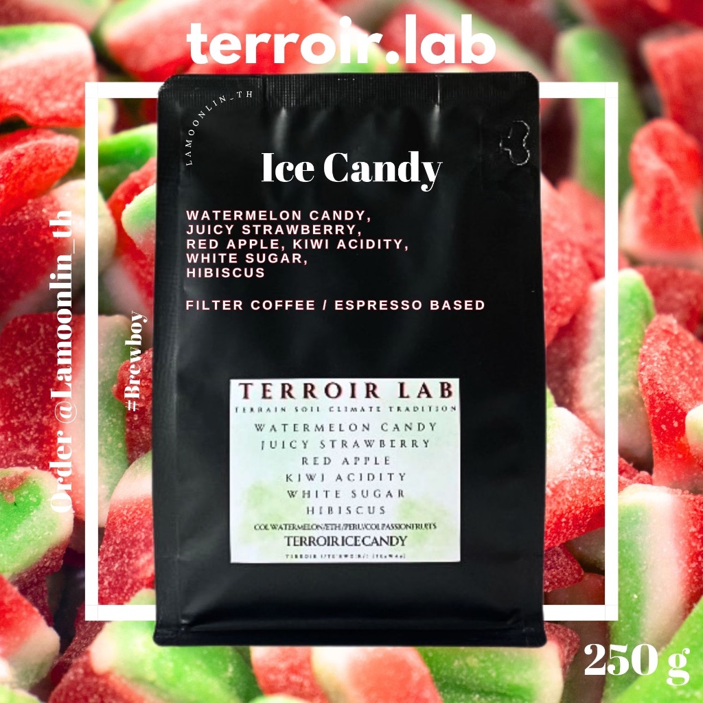 (LastLotปีนี้)เมล็ดกาแฟ Ice Candy - Terroir Laboratory - Filter ...