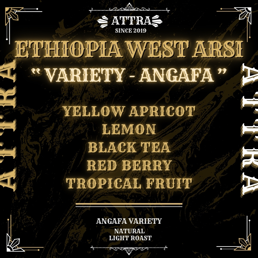 ETHIOPIA WEST ARSI ANGAFA VARIETY NATURAL 100 GRAM (คั่วอ่อน) | Shopee ...
