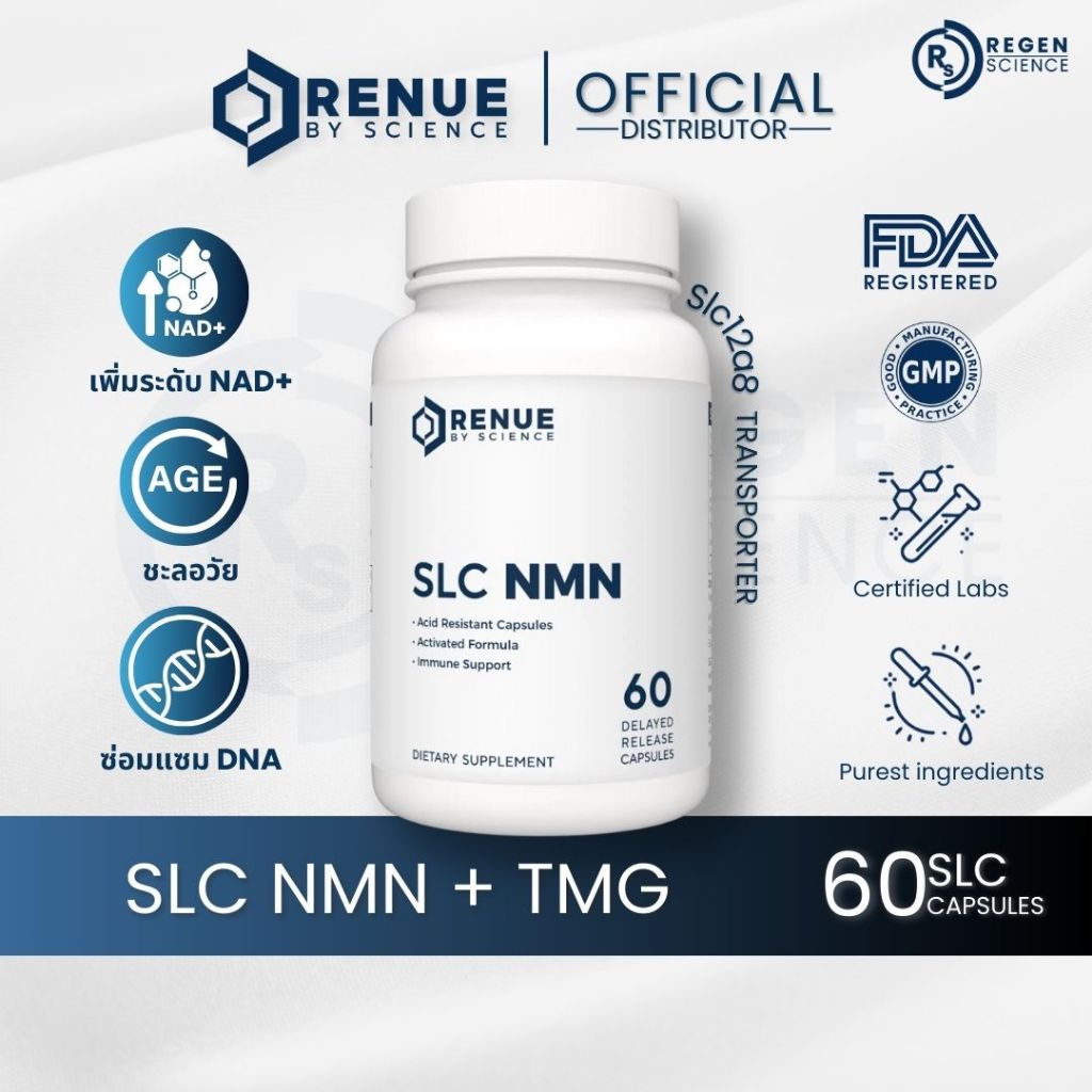 SLC NMN (NMN + TMG) 60 แคปซูล RENUE BY SCIENCE ตัวแทนจำหน่ายจาก USA เพิ่ม NAD+, ชะลอวัย | Shopee ...