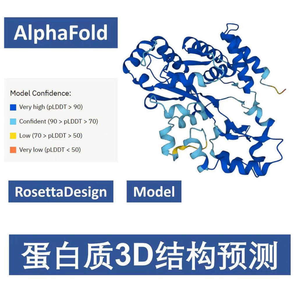 Protein 3D Structure Prediction AlphaFold2 & Rosetta & Homology Modelling Model Mutant Structure ...